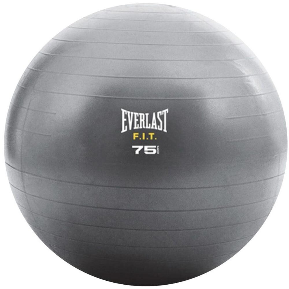 Everlast Grey Core Strength Ball at FightHQ