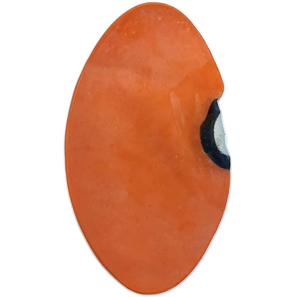 Morgan Sports Floor To Ceiling Ball Bladder at FightHQ